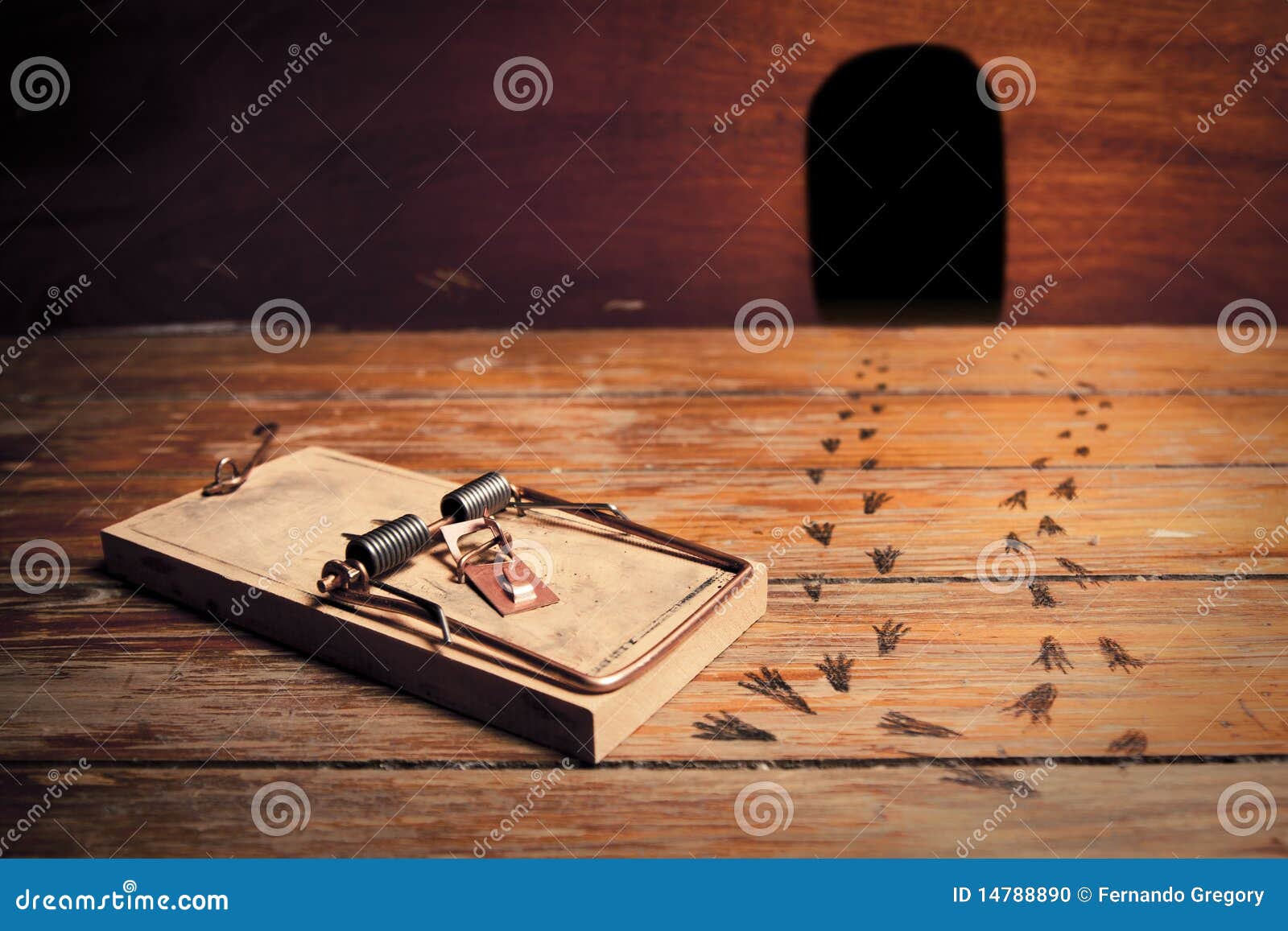 Photo of Activated Mousetrap Outside Mouse House Stock Photo - Image of ...
