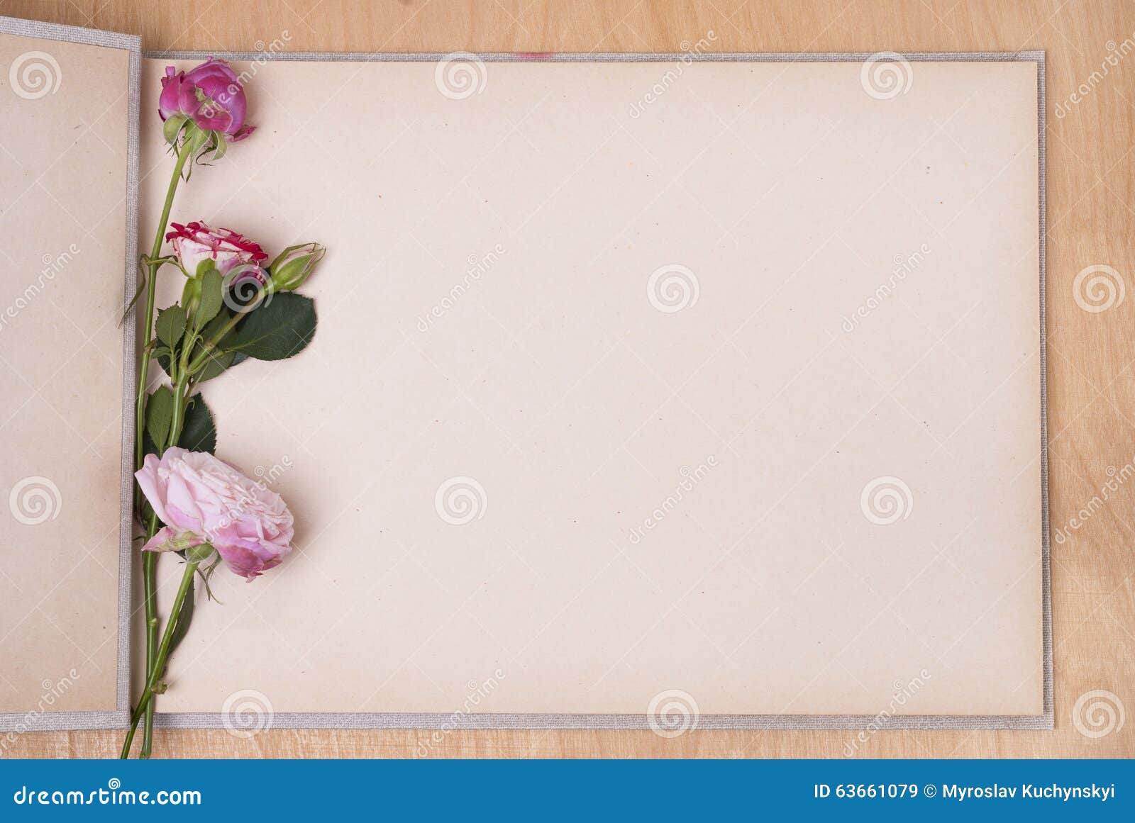 Photo album and roses stock image. Image of flower, rose - 63661079