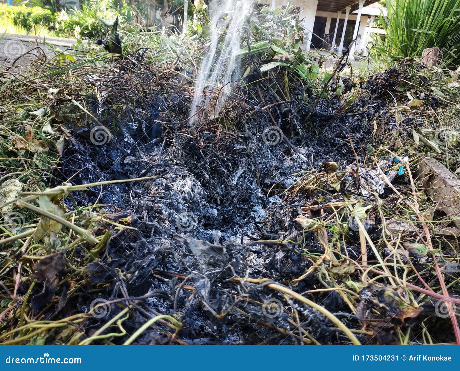 Photo of Ash from Burning Trash and Weeds Stock Image - Image of weeds ...