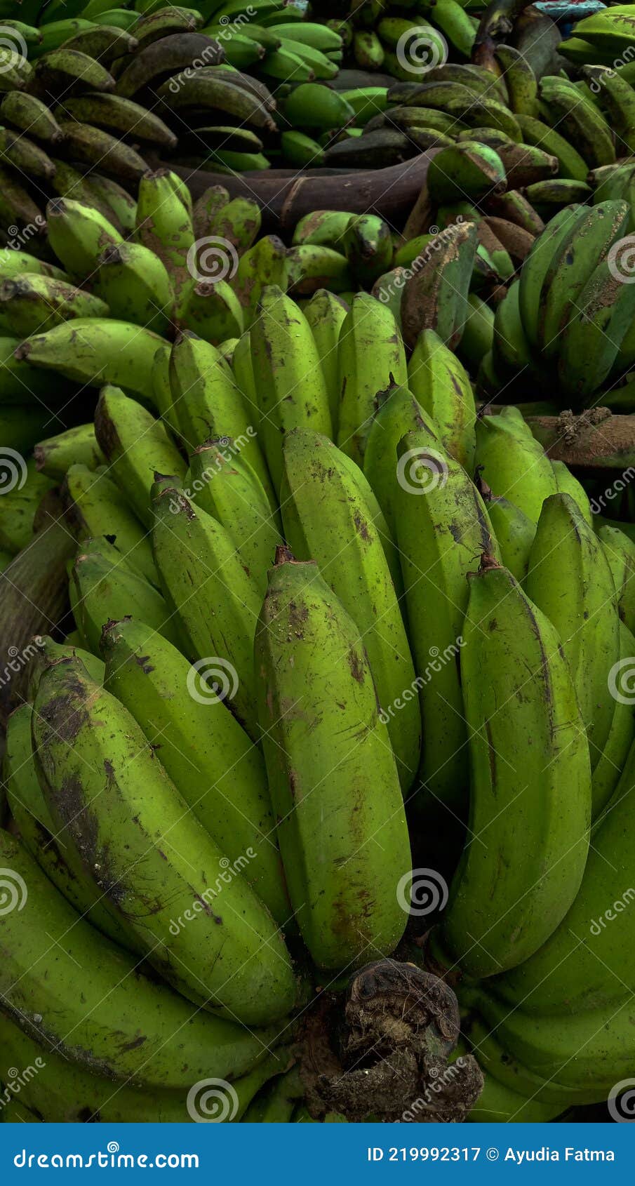 The Photo is a Photo of a Banana. Fresh Banana Photos Stock Image ...