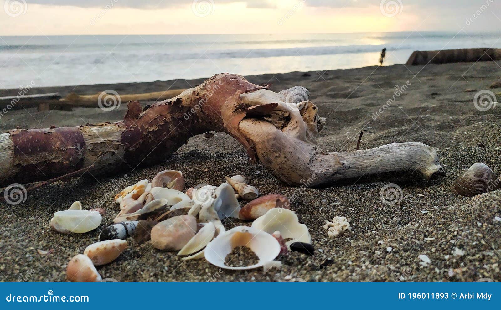 Photo at the beatch stock image. Image of wave, ocean - 196011893