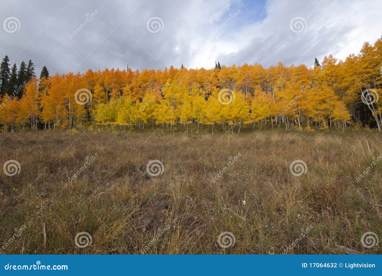 Photo of a Beautiful Fall Season in Colorado Stock Photo - Image of ...