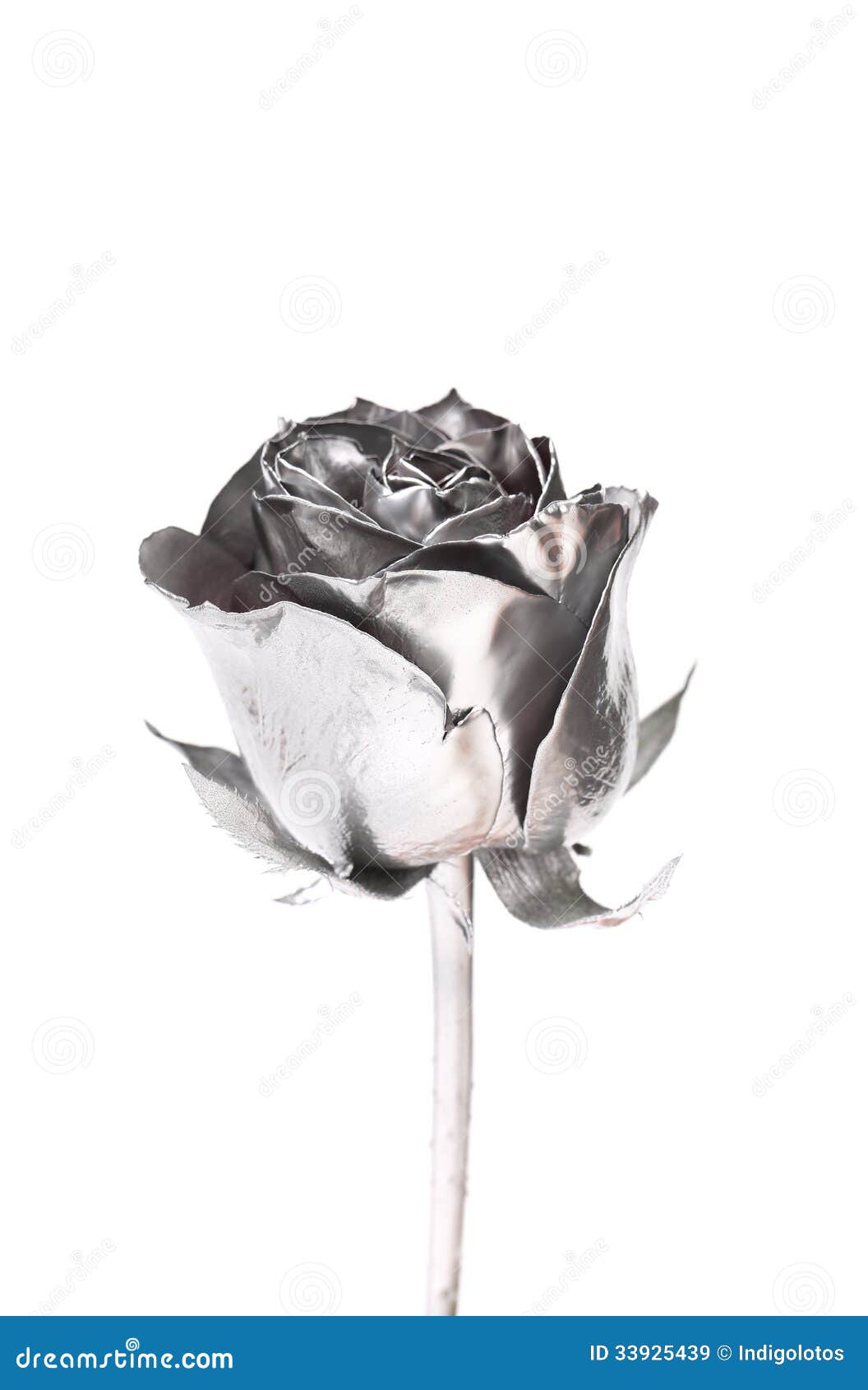 Silver Rose Flower On Gold Background. Luxury And Success. Metallized ...