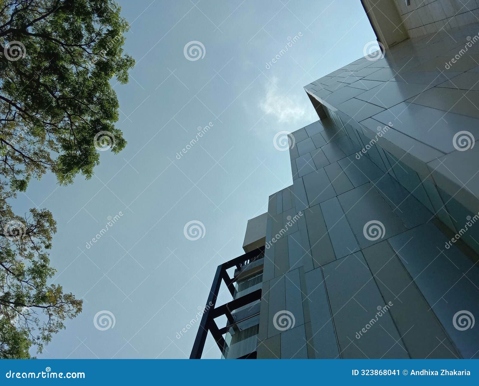 Photo from Below Building Corner and Blue Sky and Branches of the Trees ...