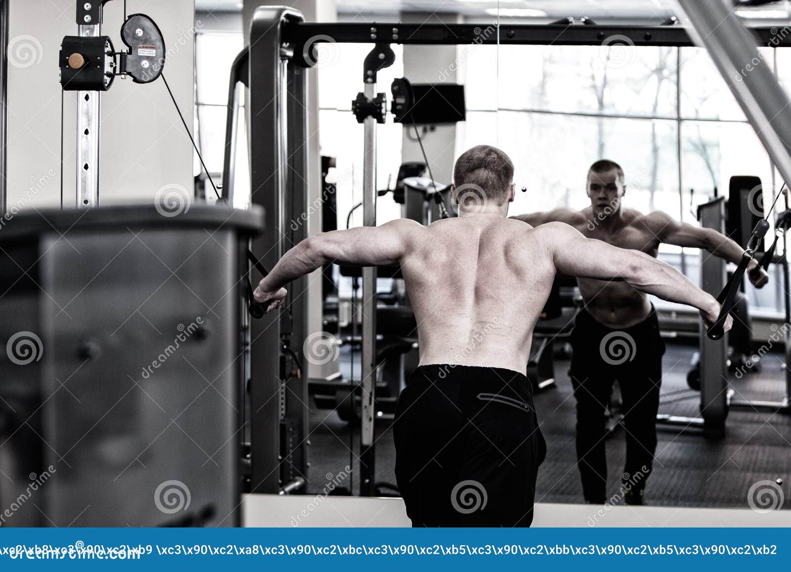 Photo Bodybuilder with a Beard in the Gym Stock Photo - Image of ...