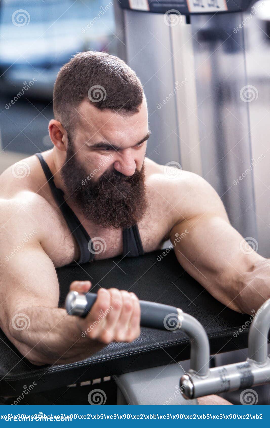 Photo Bodybuilder with a Beard in the Gym Stock Photo - Image of bench ...