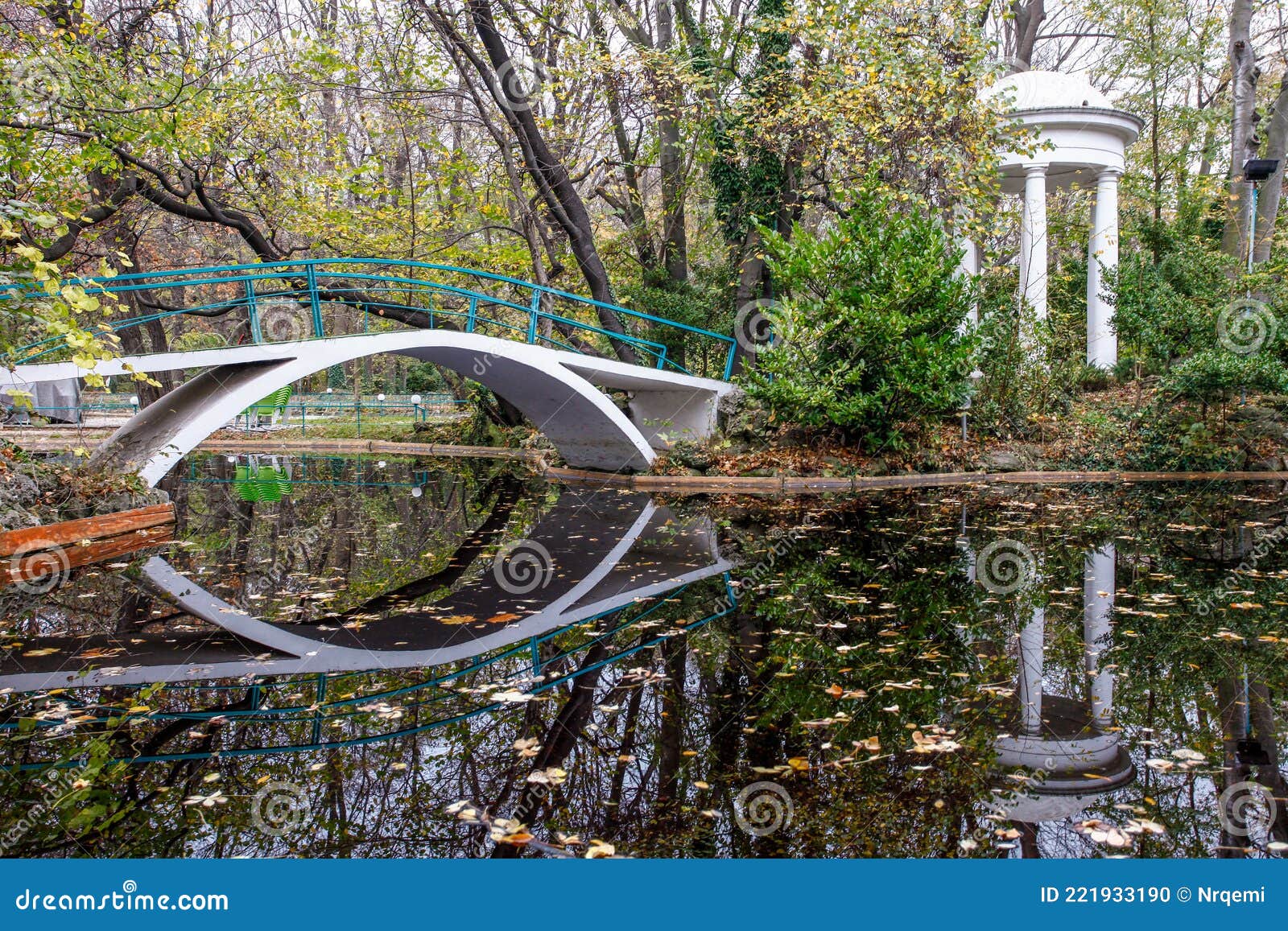Photo of Bridge in park stock photo. Image of branch - 221933190