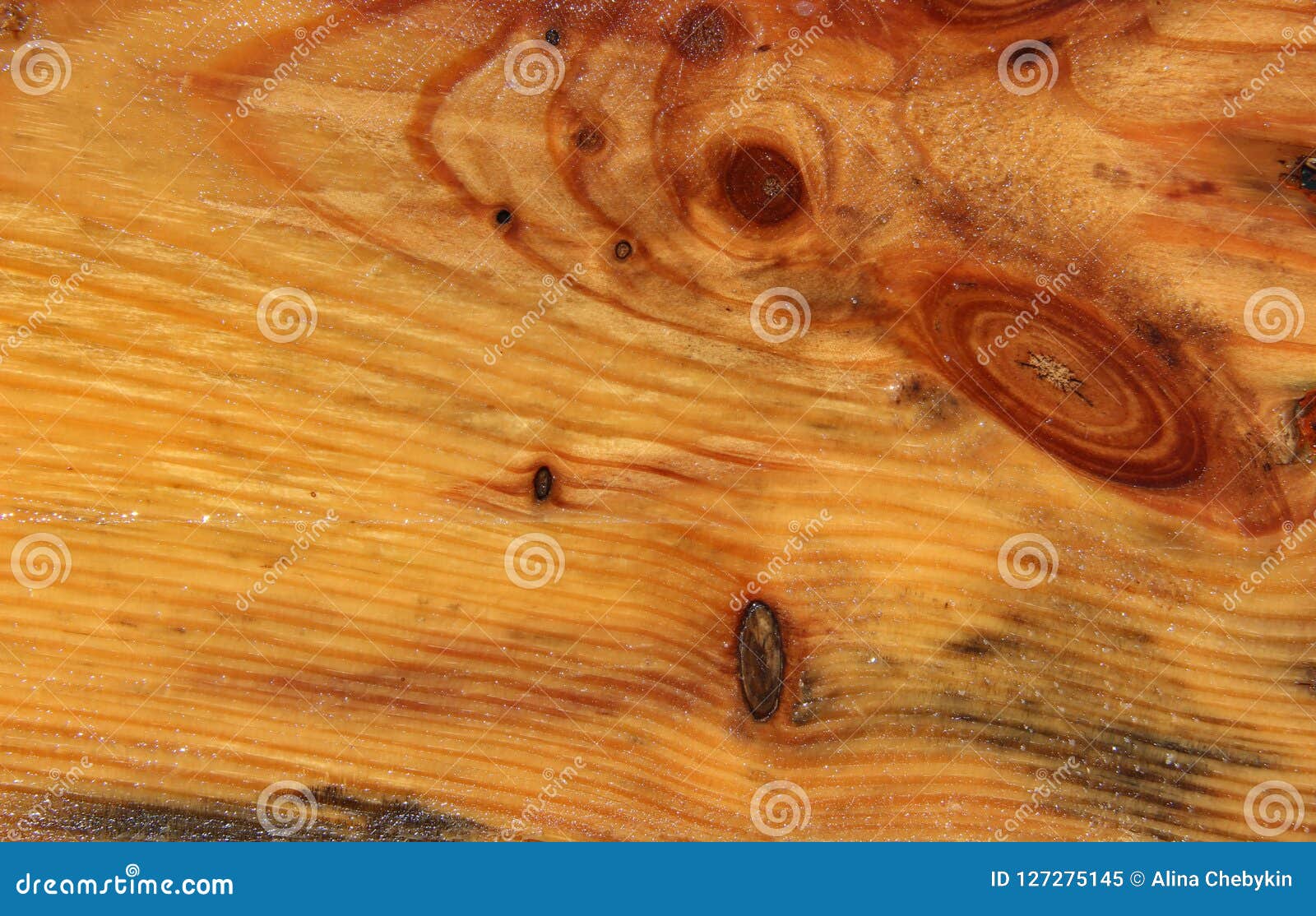 Bright Wavelike Texture of a Damp Wood Stock Image - Image of organic ...