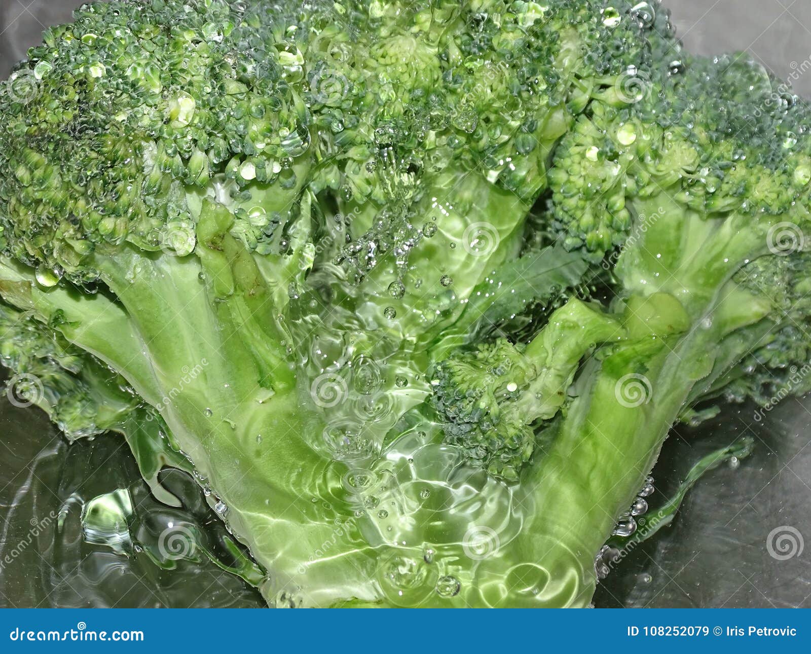 Broccoli washing stock image. Image of clean, brassica - 108252079