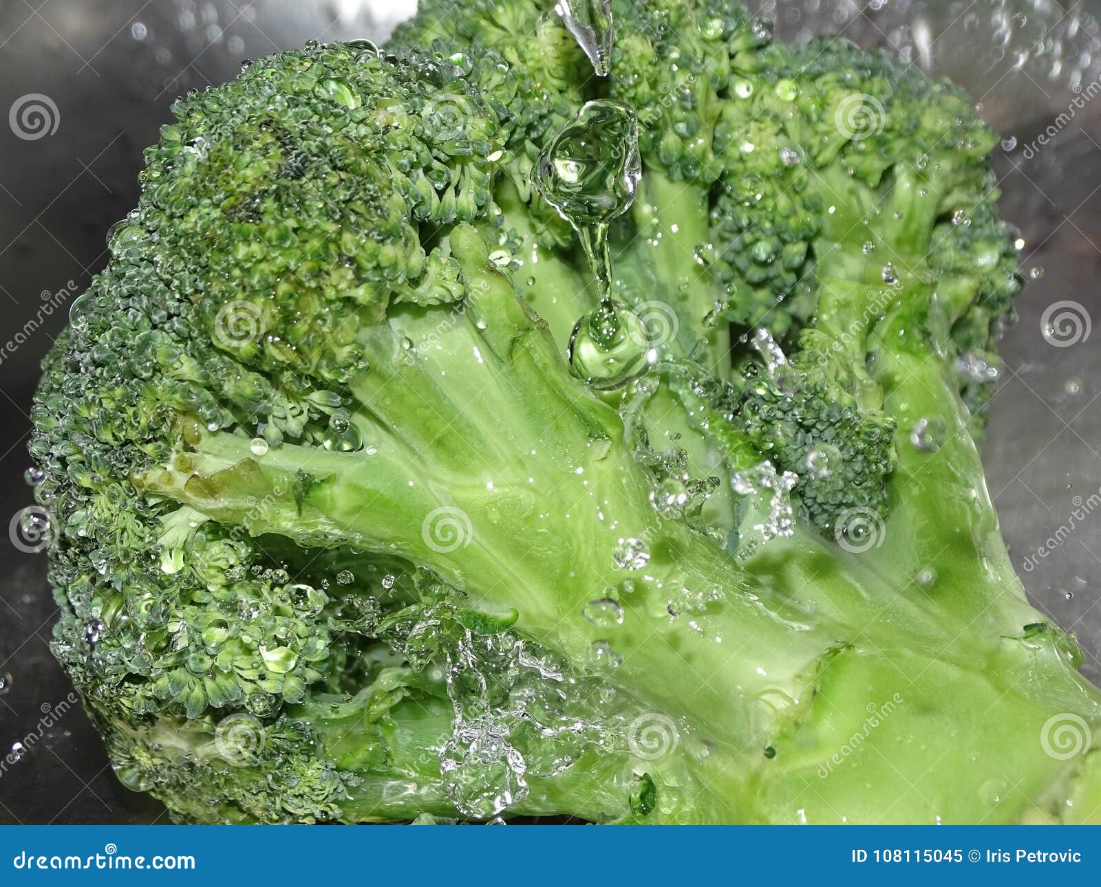Broccoli washing stock image. Image of wash, brassica - 108115045
