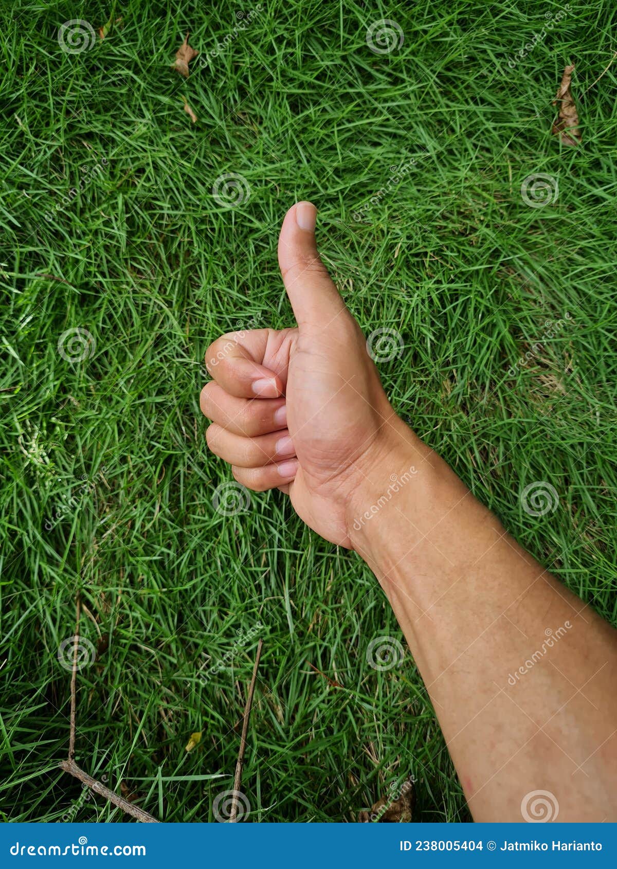 Photo of Brown Human Hand on Green Grass, with Good Code Stock Photo ...