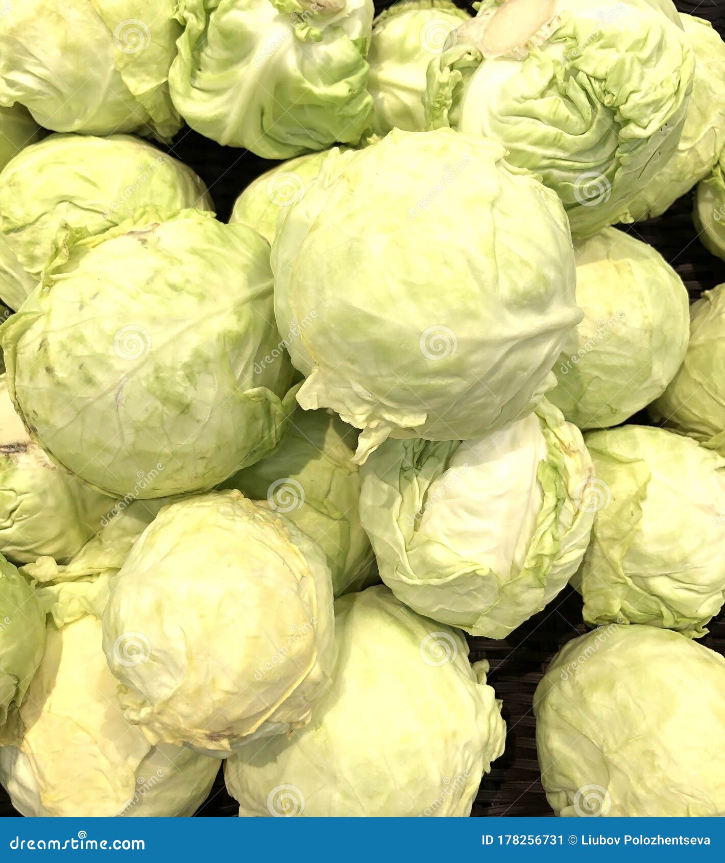 Photo Cabbage on Supermarket Shelves Stock Image - Image of head ...