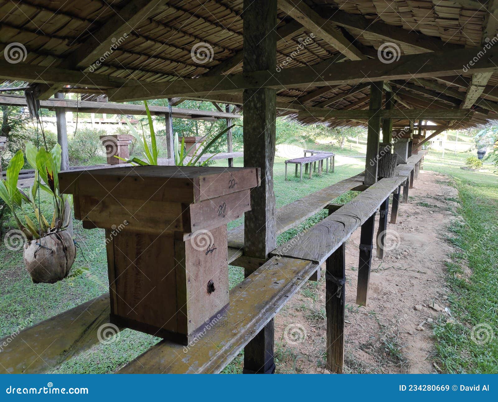 Photo of the Cage for Honey Bee Cultivation Klanceng Stock Image ...