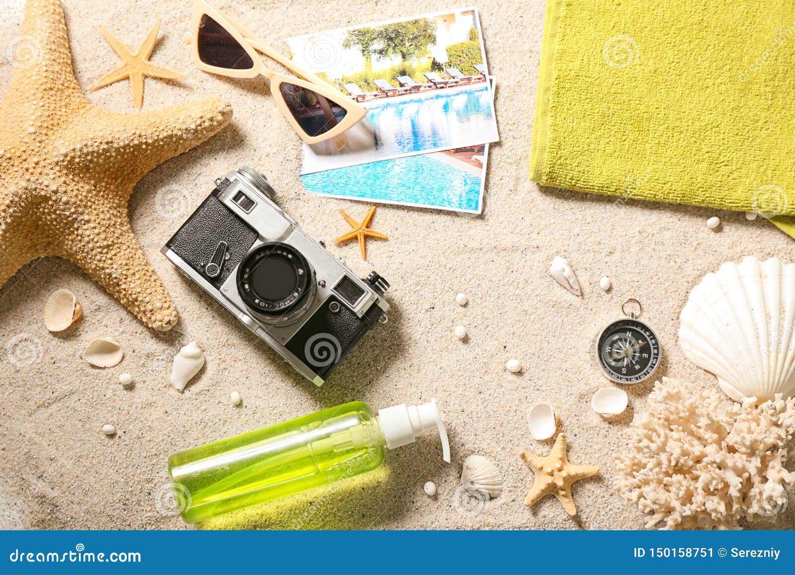 Photo Camera, Beach Accessories and Sea Shells on Sand Stock Image ...