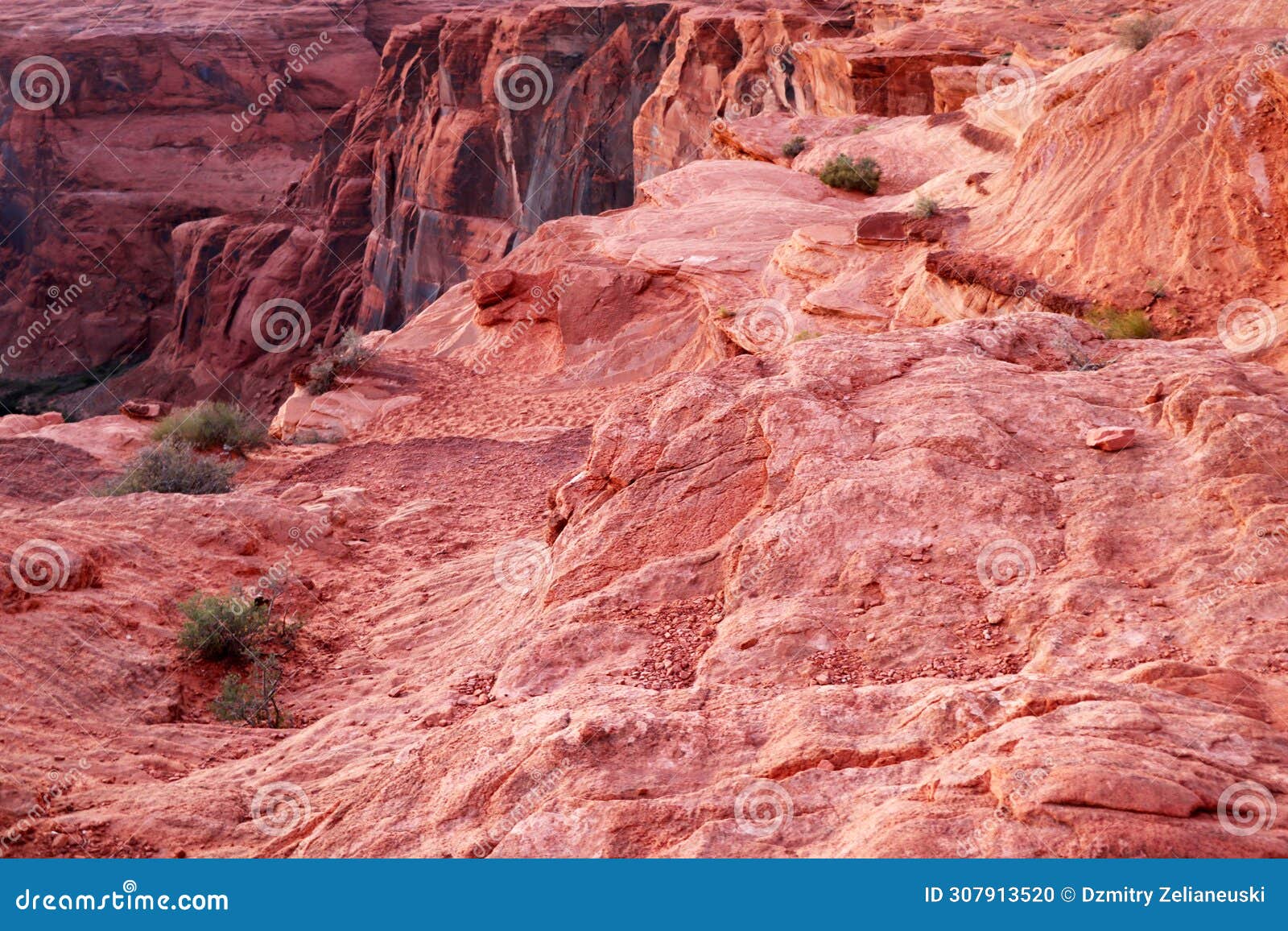 Panoramic View of Canyon from High Point Stock Photo - Image of valley ...