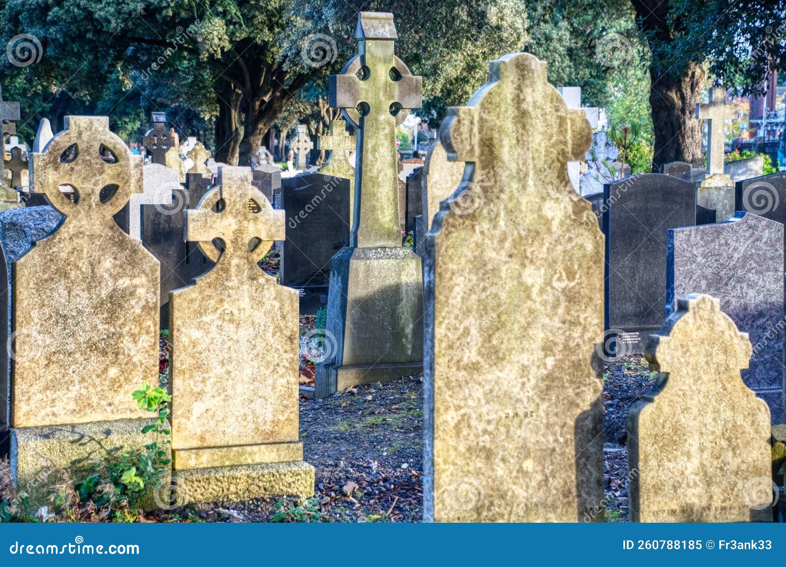 Graveyard stock image. Image of people, graveyard, tomb - 260788185