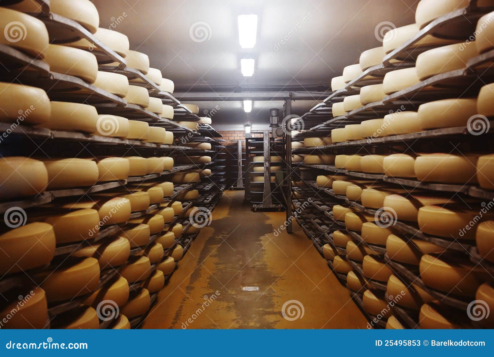 Photo of a cheese factory stock image. Image of pile - 25495853