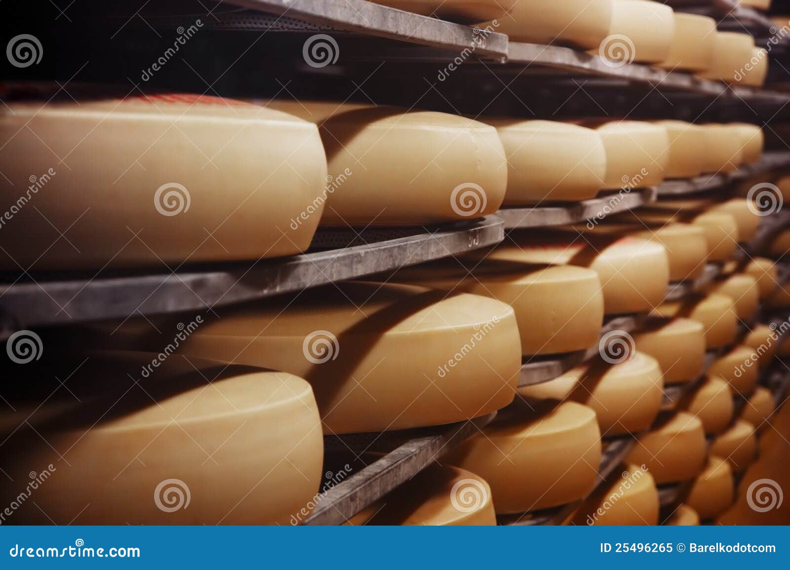 Photo of a cheese factory stock image. Image of levels - 25496265