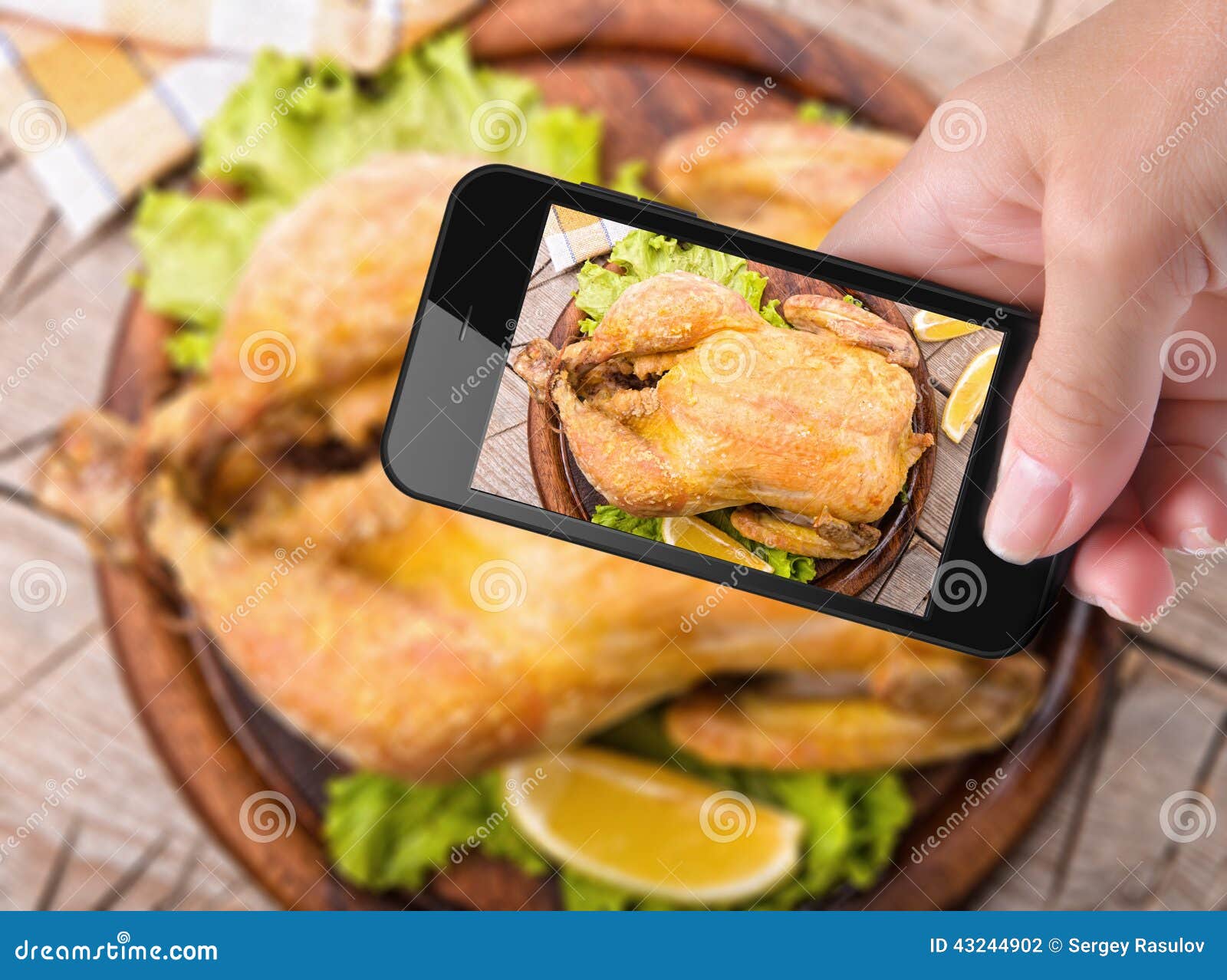 Photo chicken stock photo. Image of diet, closeup, organic - 43244902