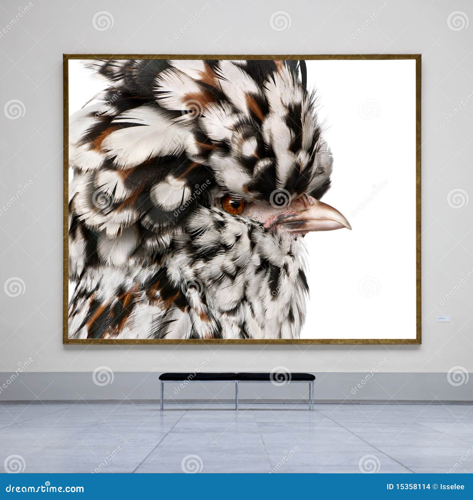 Photo of a Chicken in a Museum Stock Photo - Image of beak, seat: 15358114