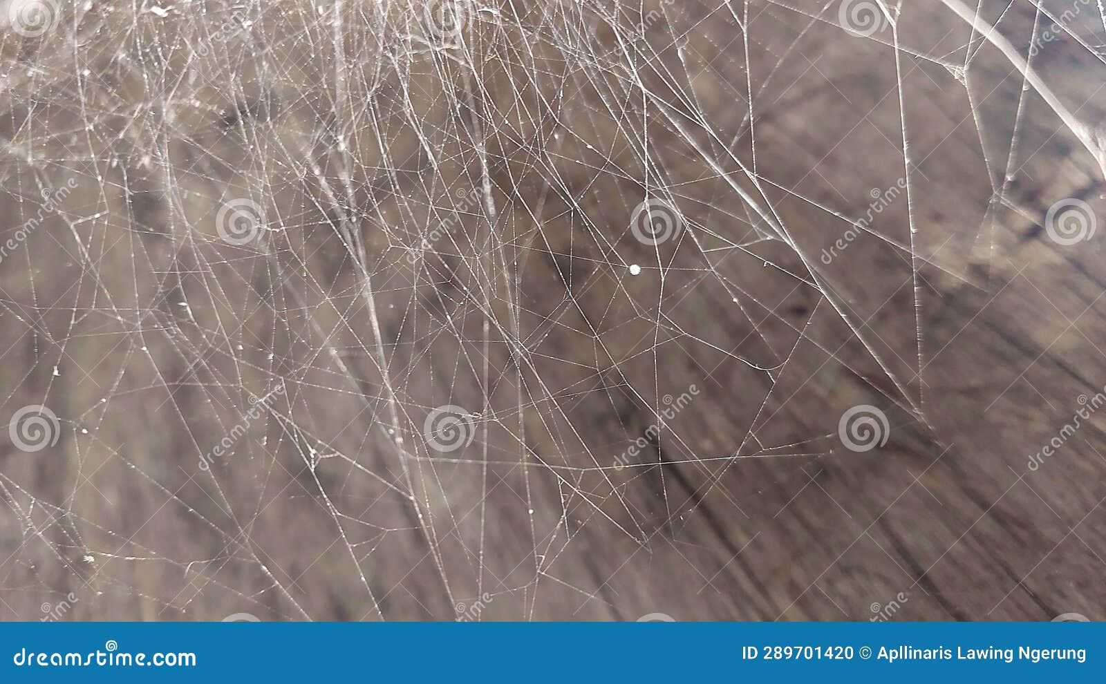 Photo of Cobwebs Stuck To the Wall Stock Photo - Image of wall, stuck ...