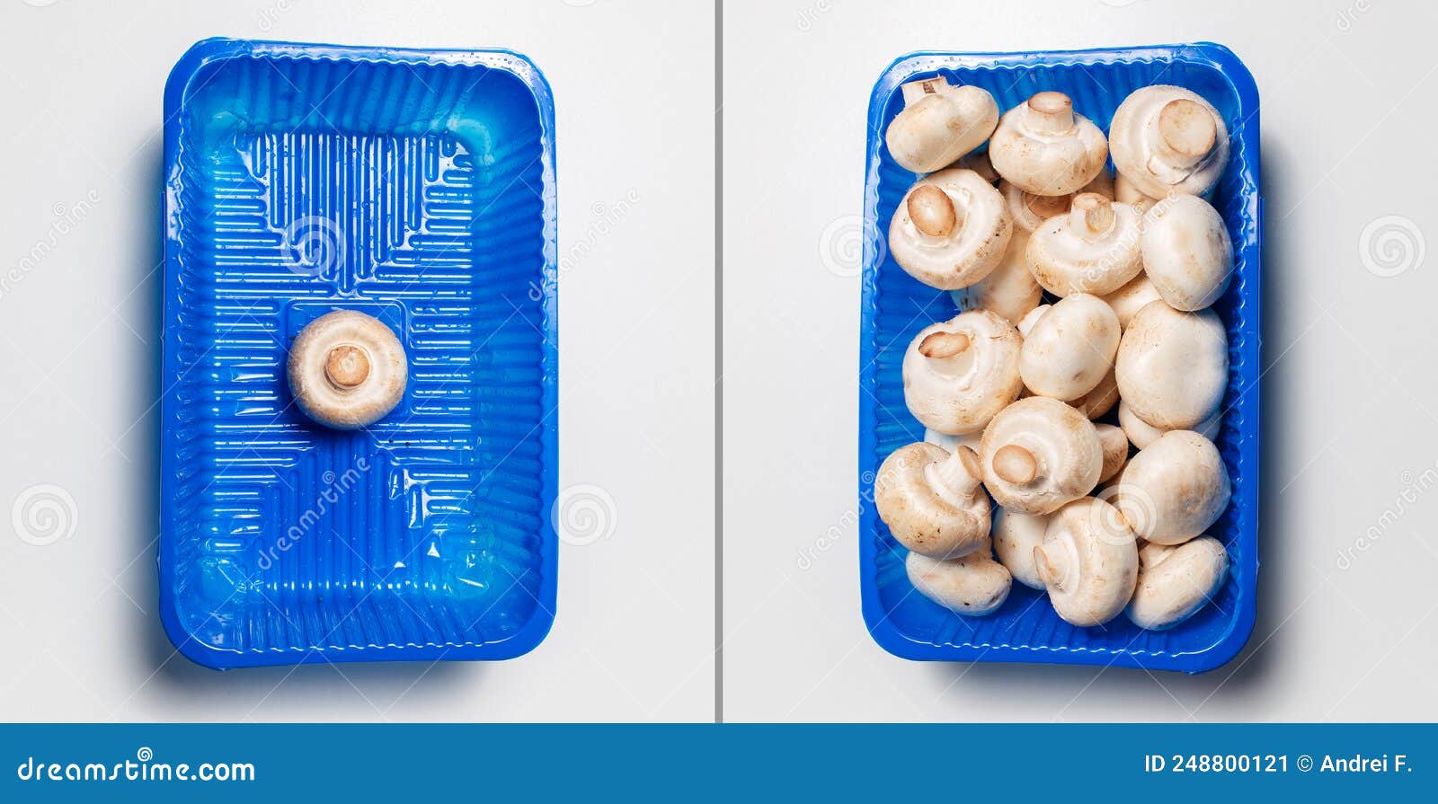Photo Collage of Blue Plastic Box with Mushrooms One is Full, Other Its ...