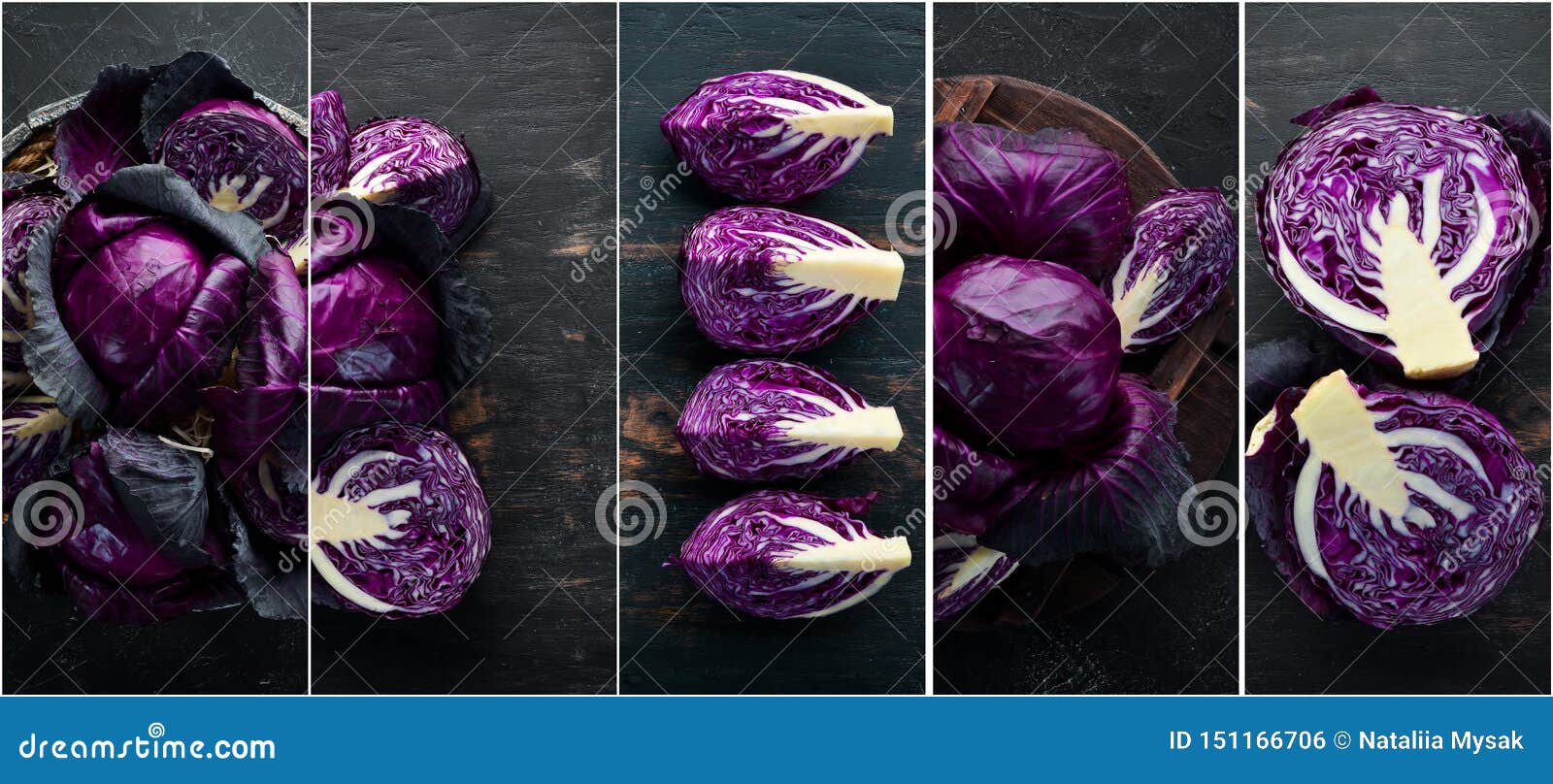 Photo Collage of Purple Cabbage Stock Photo - Image of plant, organic ...