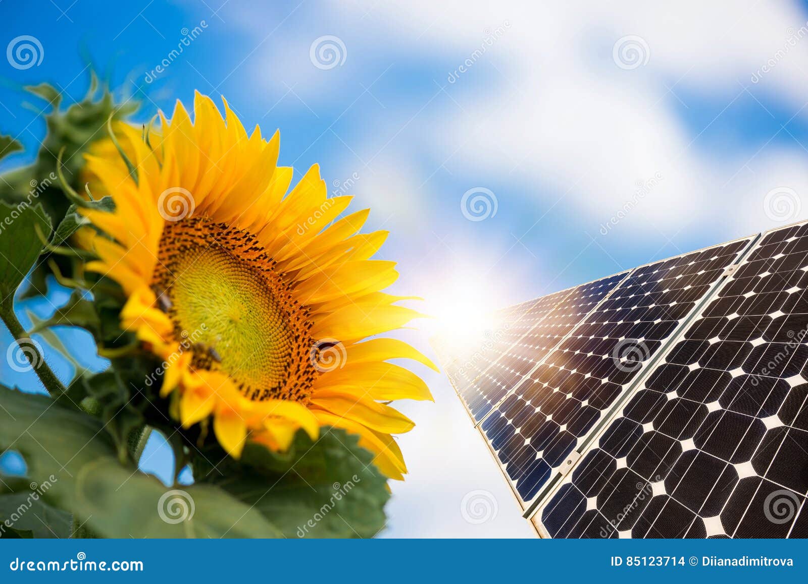 Photo Collage of Solar Panels Against the Crops Background Stock Photo ...