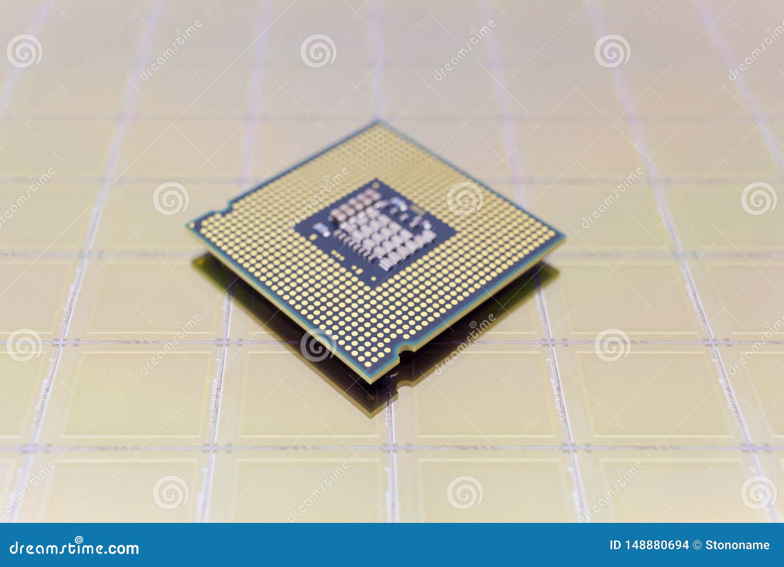 Silicon Computer Chip