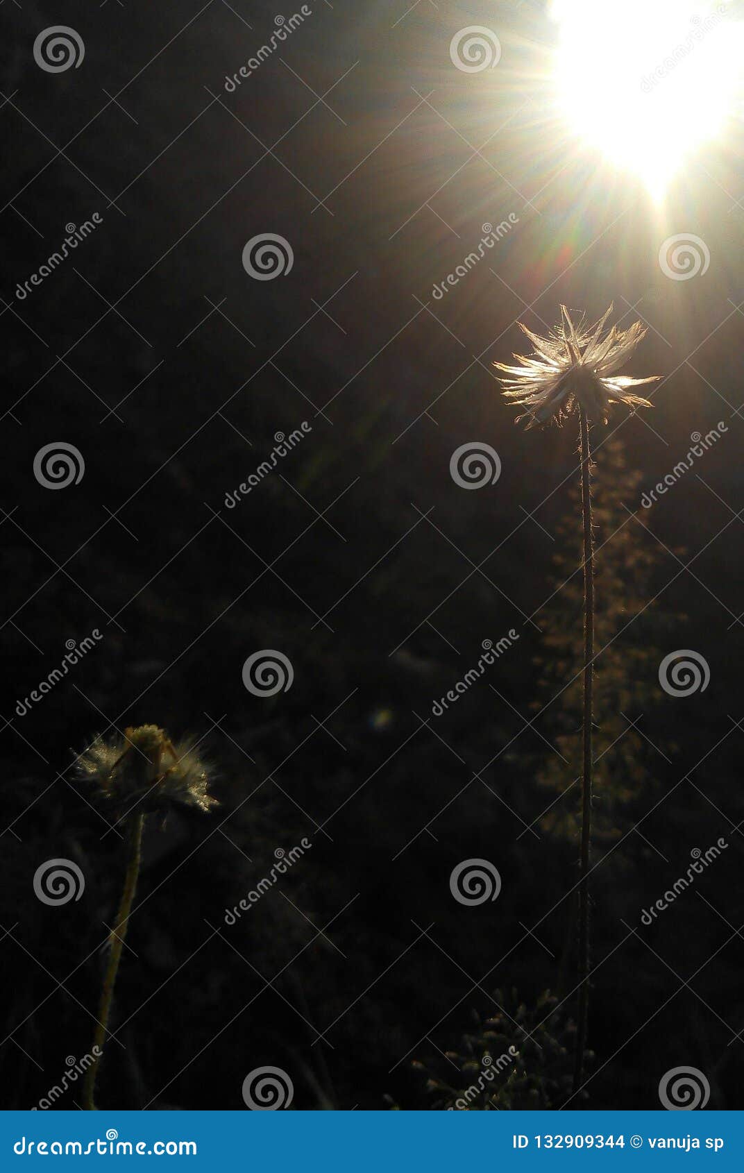 Scenery image stock photo. Image of small, capture, scenery - 132909344