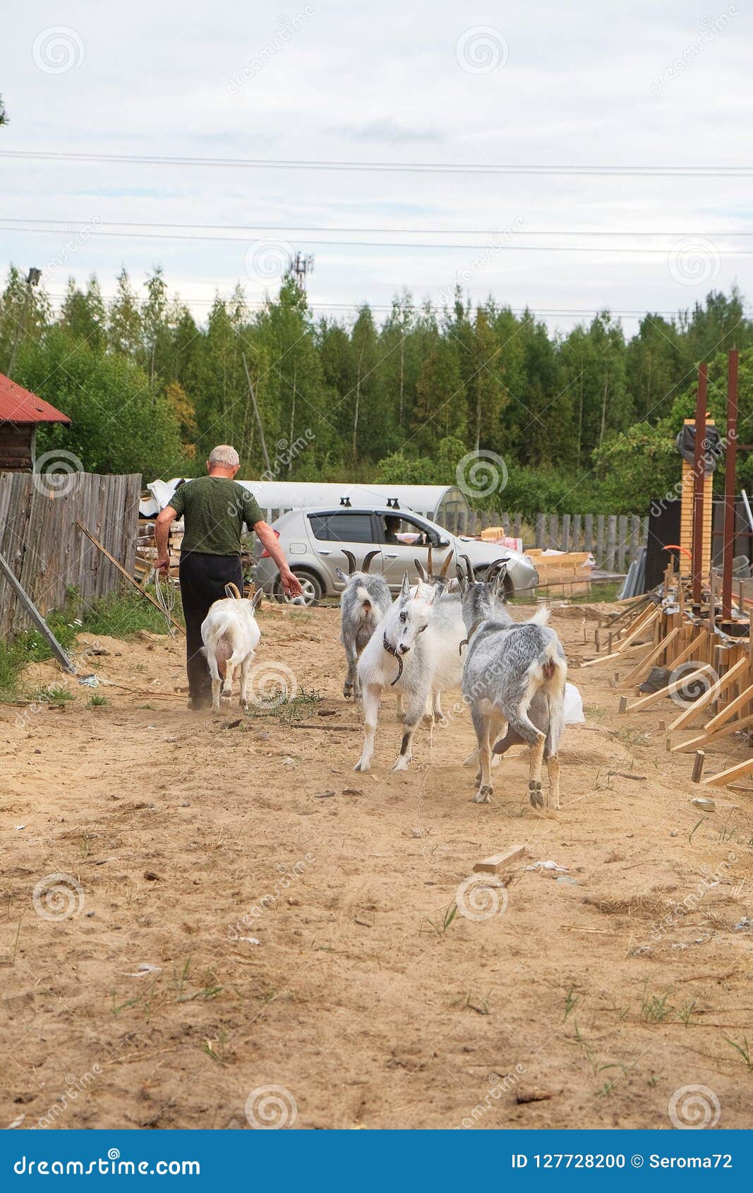 Photo Cute Rustic Goat from Close Range Stock Photo - Image of goat ...