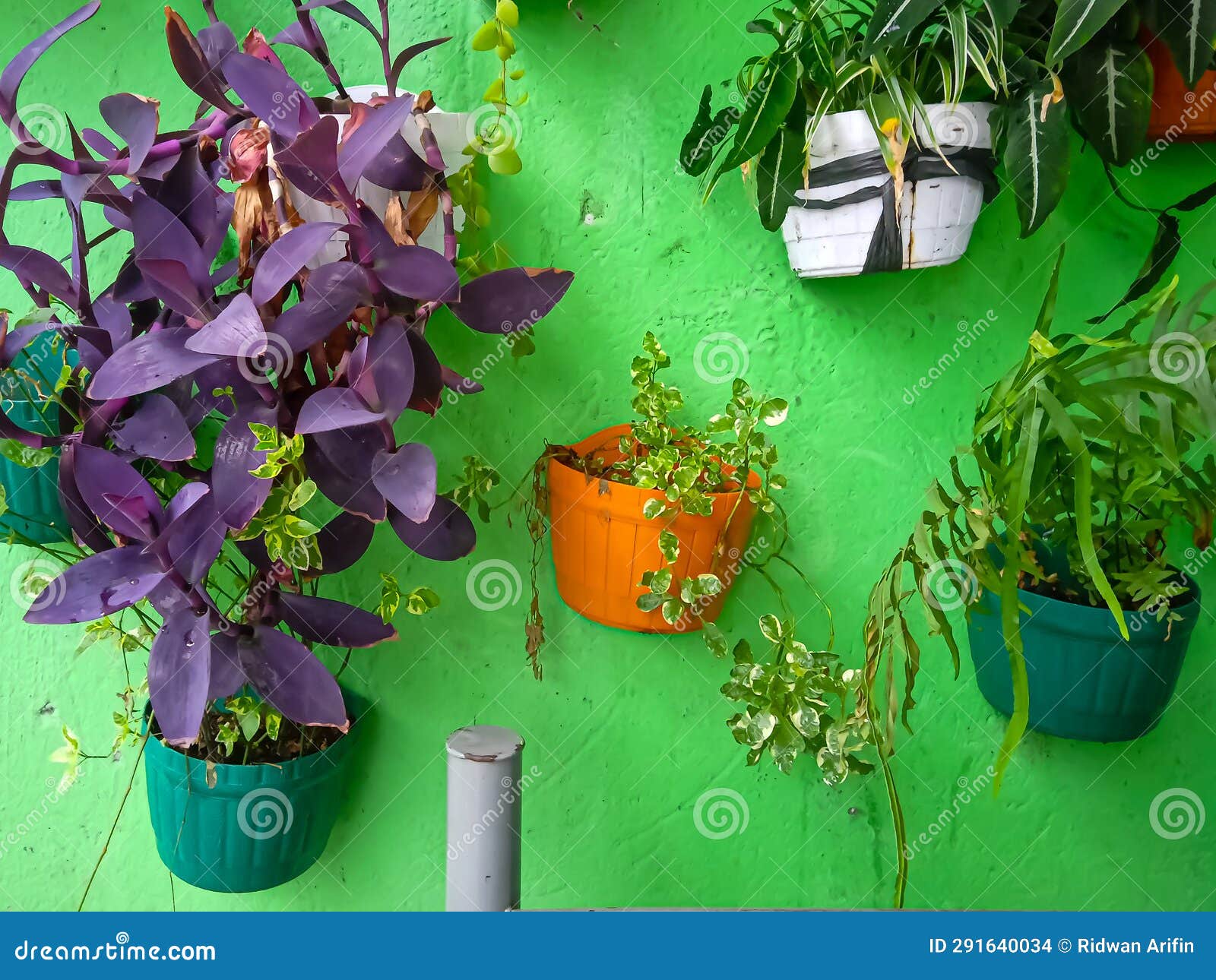 Photo of Decorative Plant Pots on the School Wall Stock Photo - Image ...