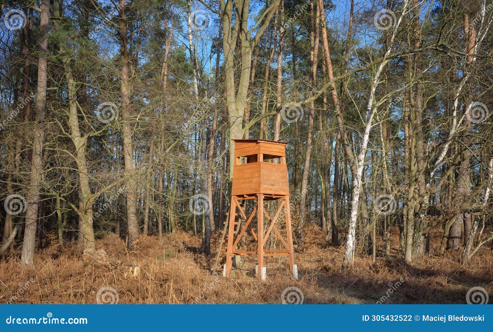 Photo of a Deer Hunting Tower at the Edge of the Forest Stock Photo ...