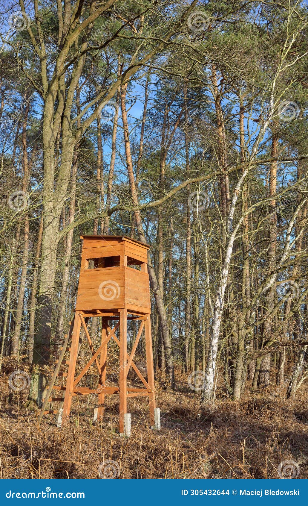 Photo of a Deer Hunting Tower at the Edge of the Forest Stock Photo ...