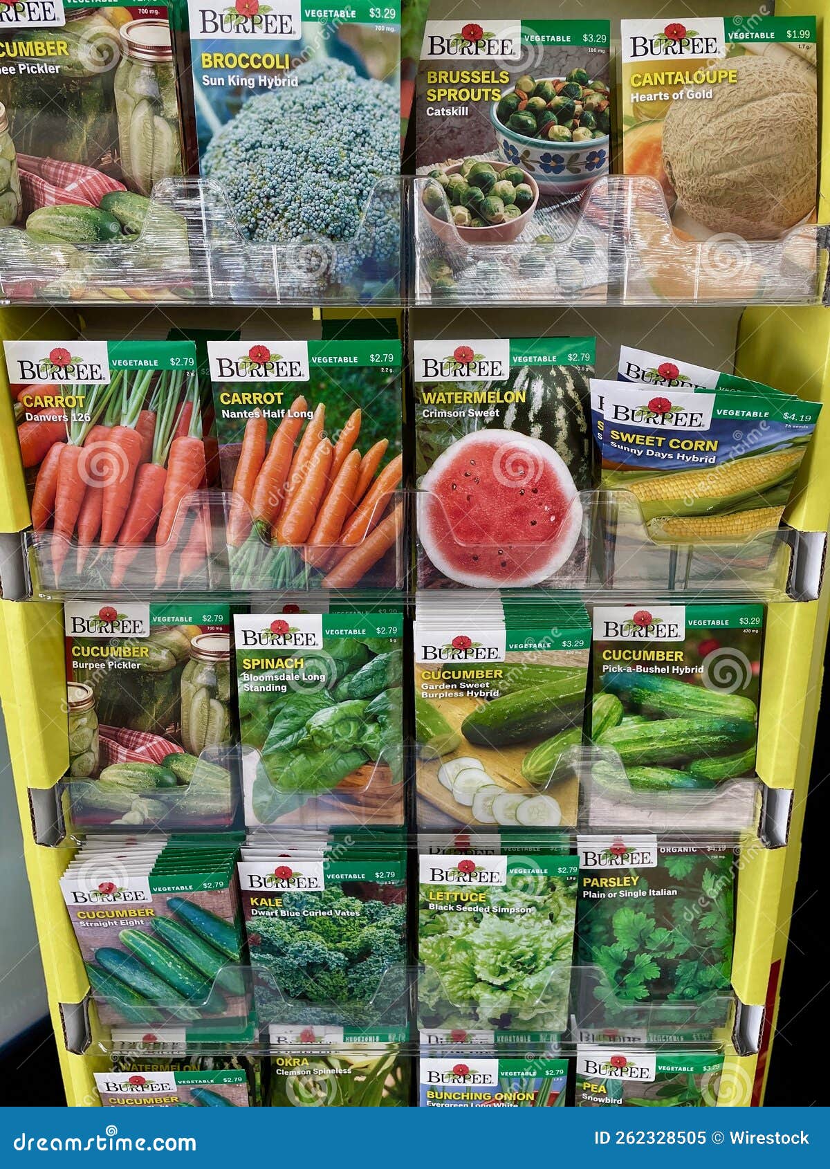 Photo of Different Vegetable Seeds in Packets Editorial Image - Image ...