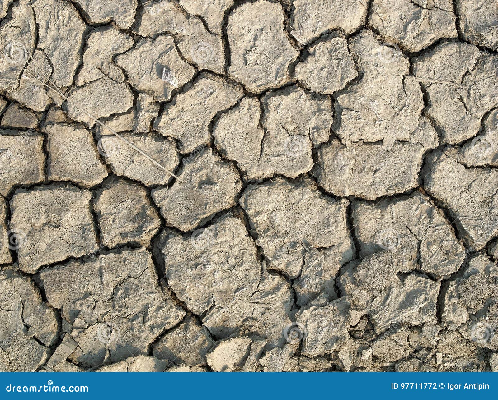 Photo of Dry, Cracked Earth Stock Photo - Image of damage, abstract ...