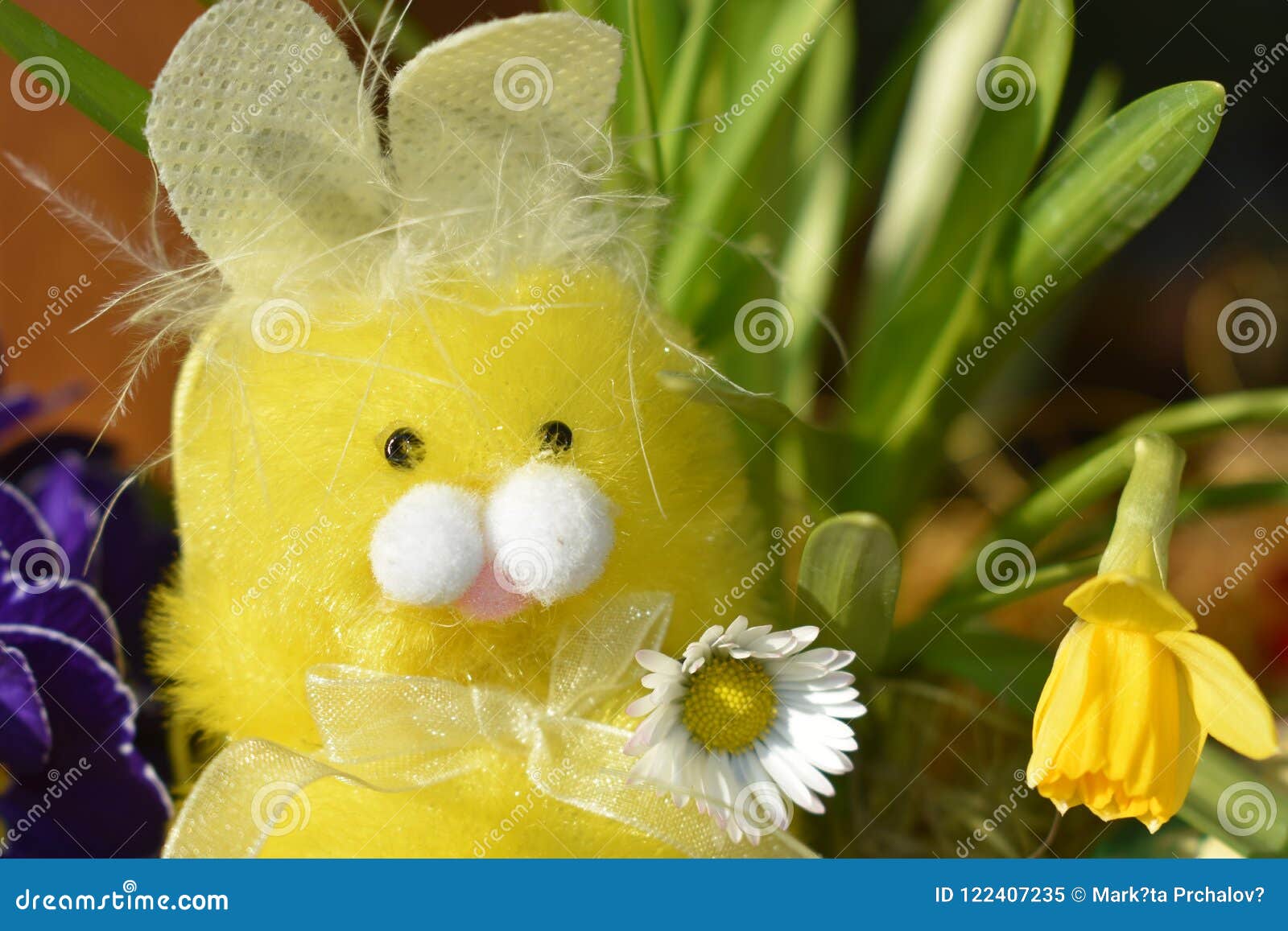 Easter Bunny stock image. Image of plant, flower, flowers - 122407235