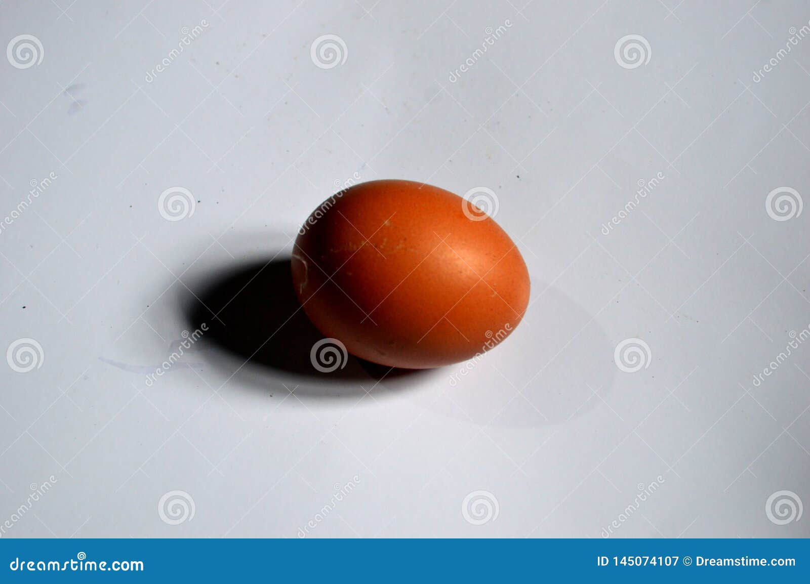 Photo of an Egg with a White Background Stock Image - Image of circle ...