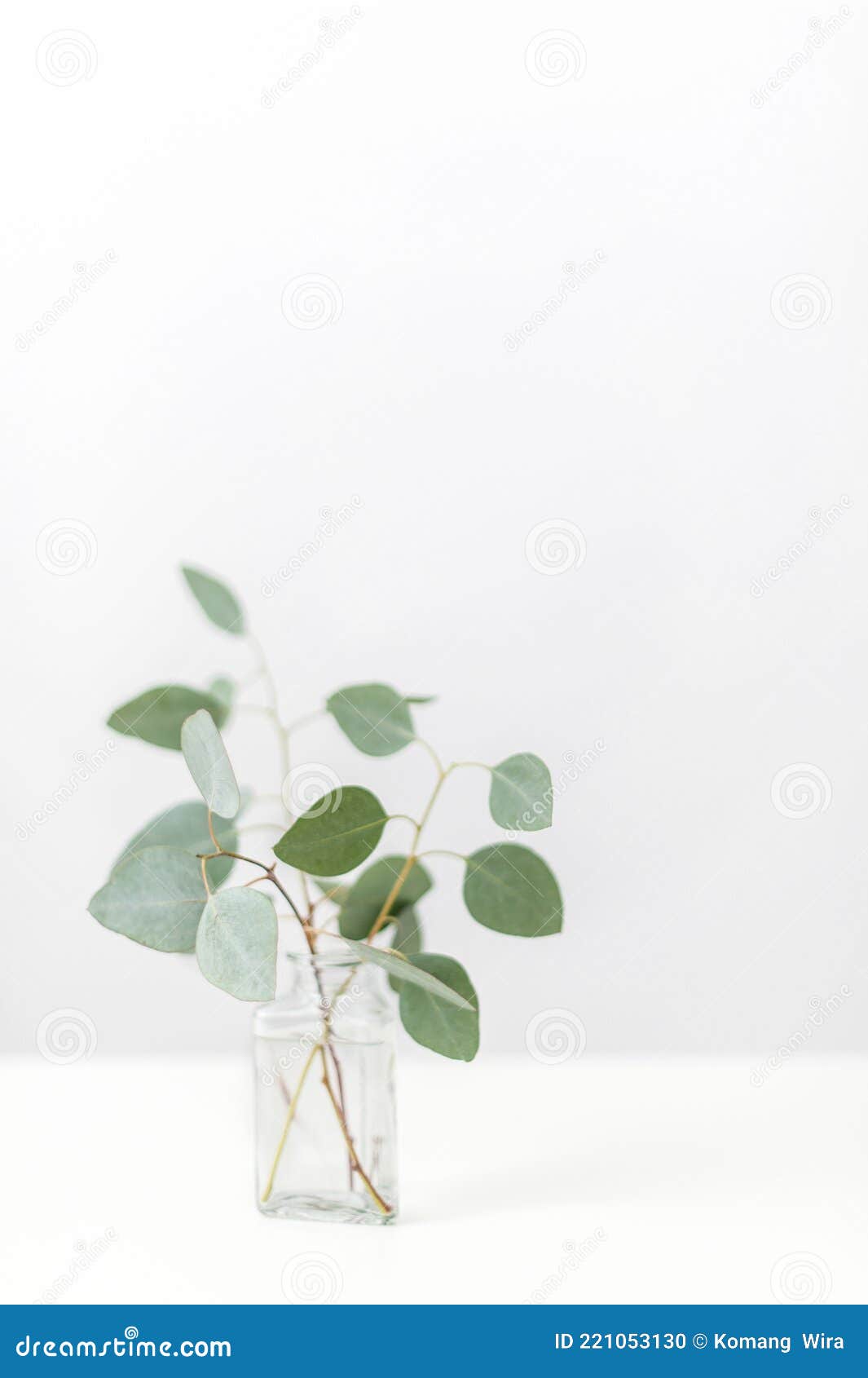 Simple Eucalyptus Pattern Background Stock Photo - Image of closeup ...