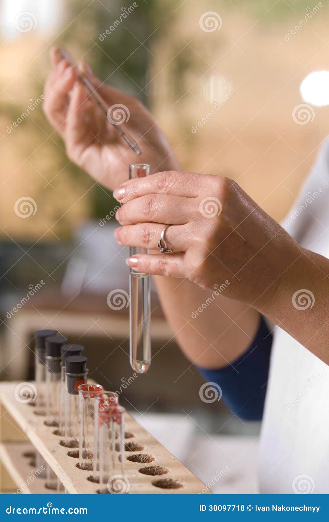 Female hands stock photo. Image of closeup, female, holding - 30097718