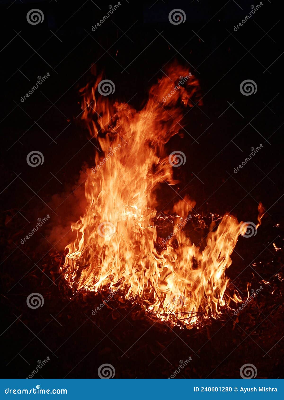 Photo of Fire in Festive Season. Stock Photo - Image of festive, quail ...