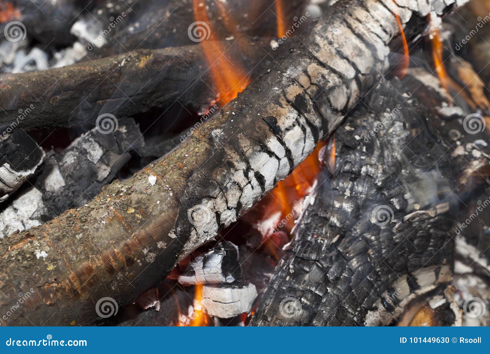 Fire on logs stock photo. Image of burnt, barbecue, moving - 101449630
