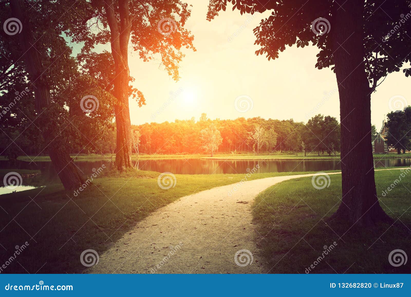 Footpath in the park stock photo. Image of peaceful - 132682820