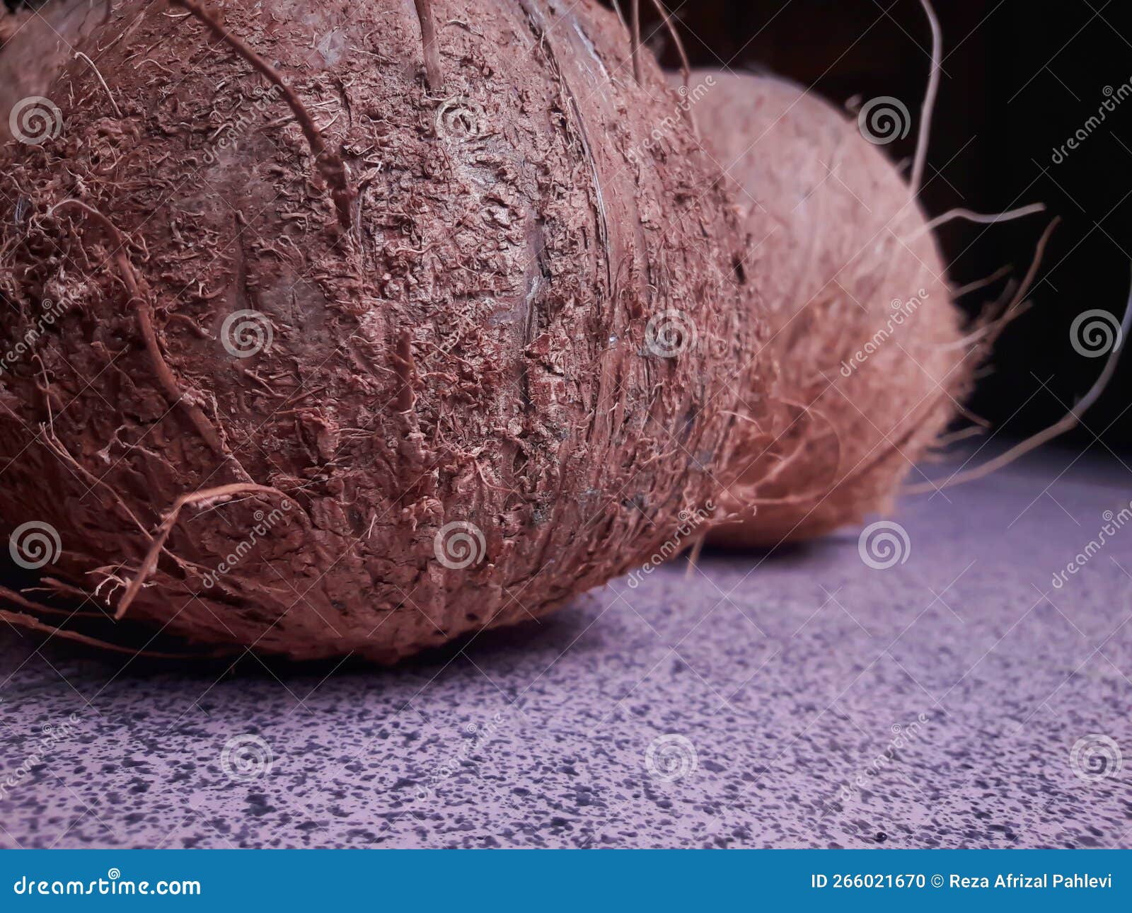 Photo of Four Old Coconuts on the Tiled Floor Stock Photo - Image of ...