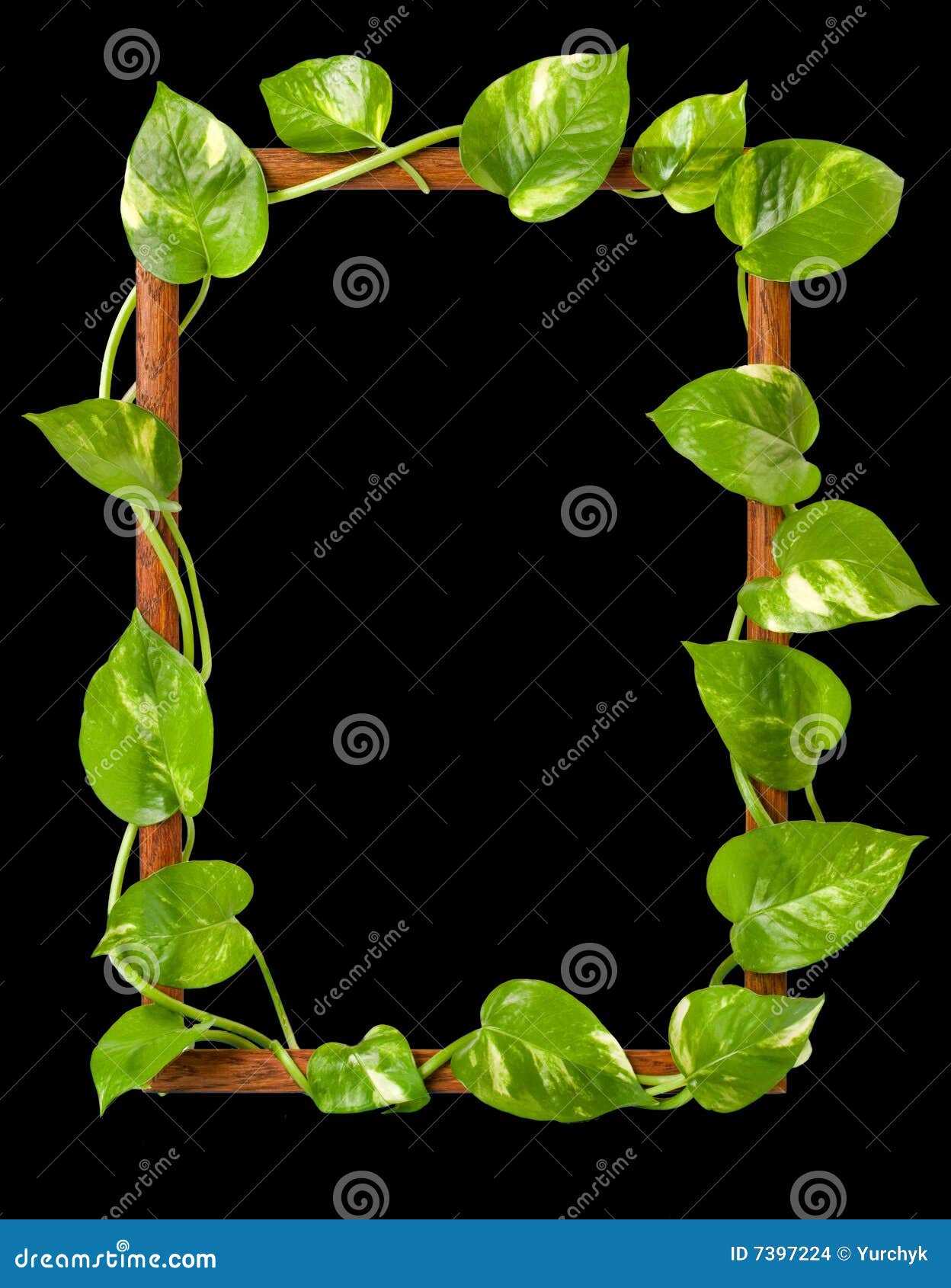 Photo Frame Decorated with Leaves Stock Photo - Image of design ...