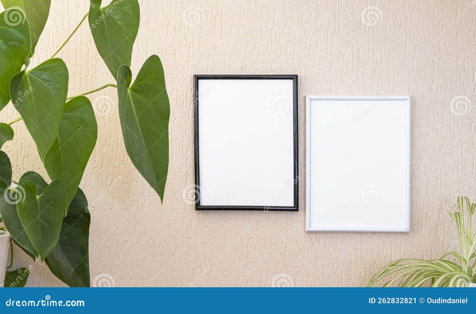 Photo Frame with Empty Space. Frame in Portrait Mode. Stock Image ... Photo Frame with Empty Space. Frame in Portrait Mode. Stock Image ...