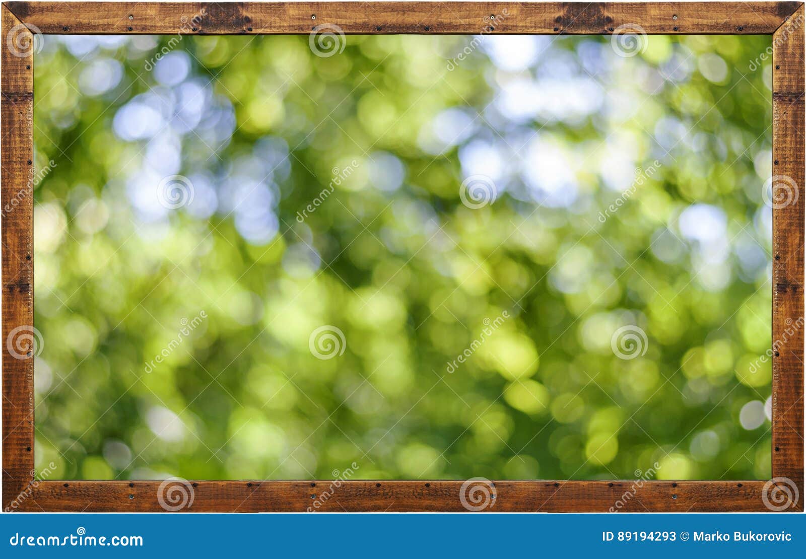 Photo Frame with Green Forest Bokeh Background Stock Image - Image of ...