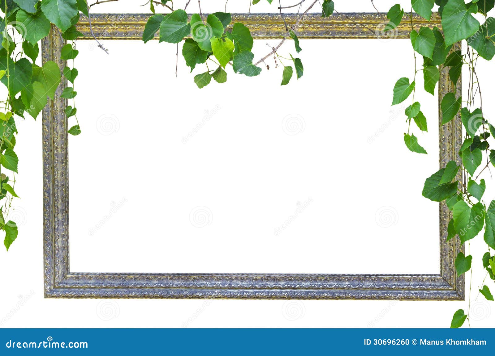 Photo Frame with Nature Green Leaf Stock Photo - Image of blank ...