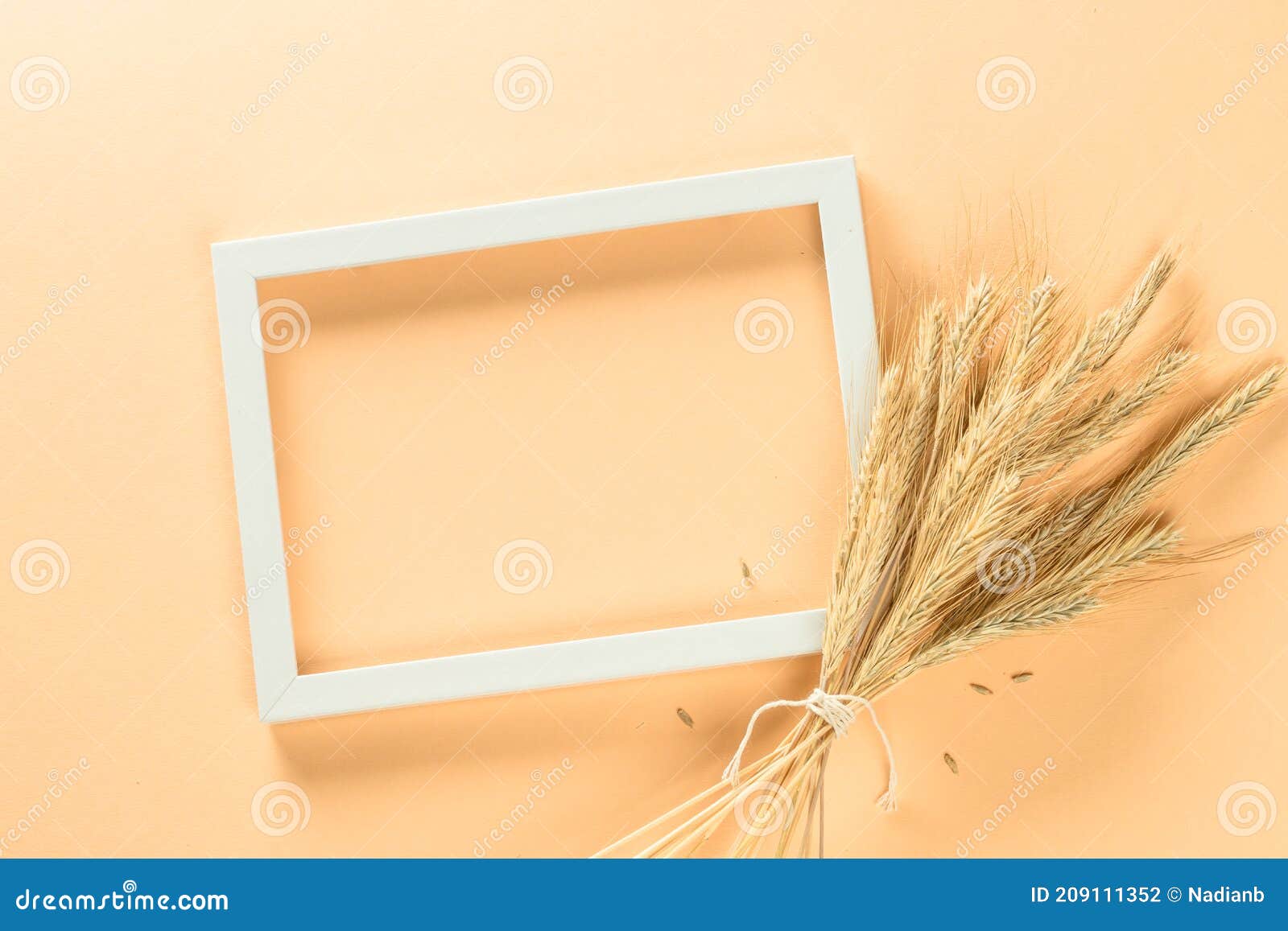 Photo Frame at Pastel Background. Stock Photo - Image of decoration ...