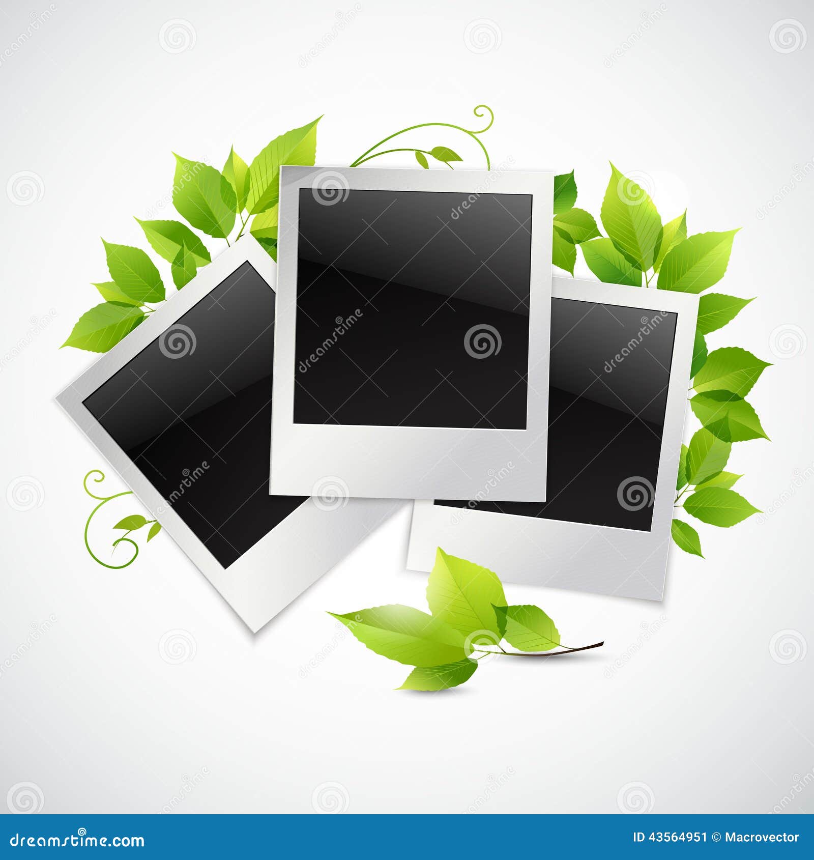 Photo Frames with Green Leaves Stock Vector - Illustration of green ...
